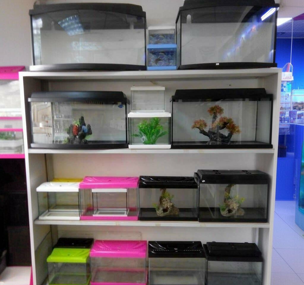 Petshop Gür Kuş Cenneti, Kozan, foto