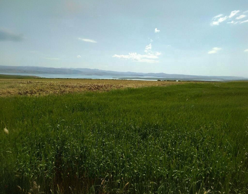 Muhtarlıklar Uzungöl Köyü Muhtarlığı, Çemişgezek, foto