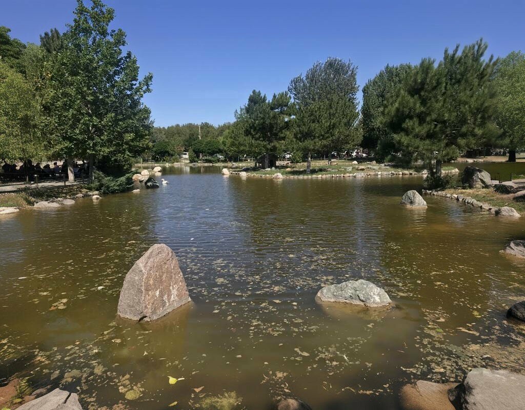 Kültür ve eğlence parkları Yedi Kuğular Kuş Cenneti, Suluova, foto