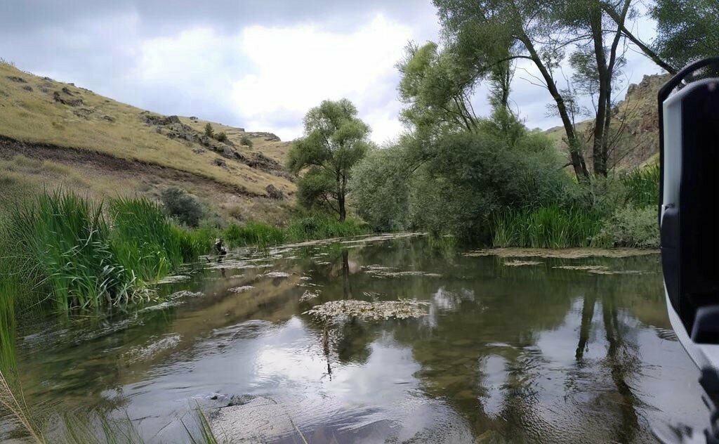 Muhtarlıklar Sakaeli Köy Muhtarlığı, Orta, foto
