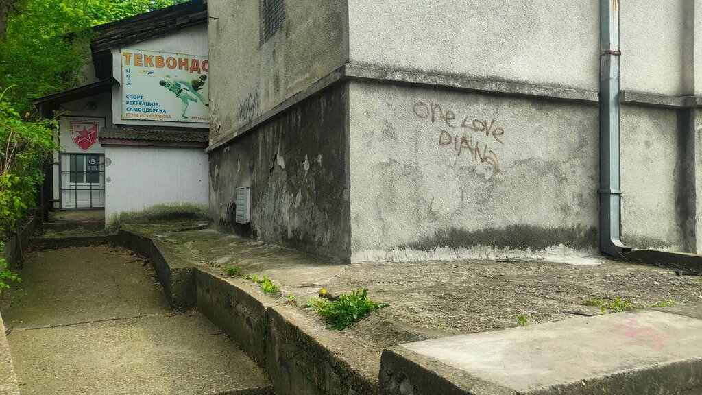 Spor kulüpleri Tekvondo Klub Crvena Zvezda, Belgrad, foto