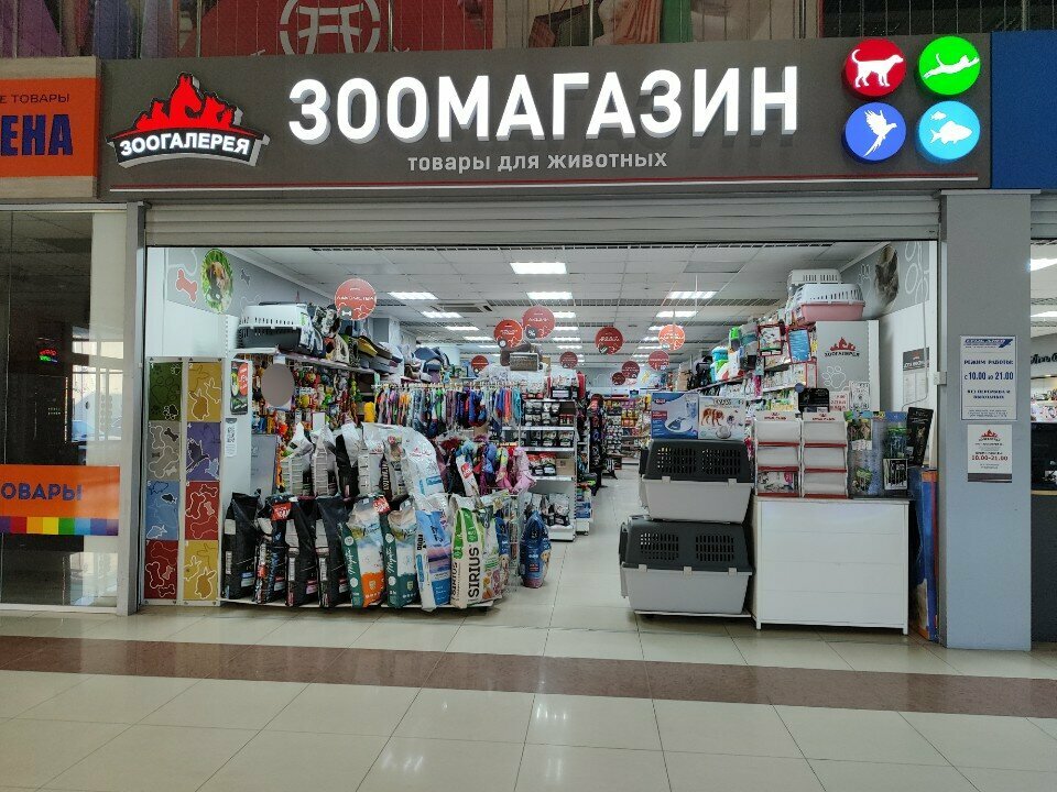 Petshop Zoogalereya, Voronej, foto