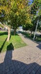 Cahit Beğenç Çocuk Parkı (Foça Mah., 1053. Sok., Fethiye, Muğla), park, sokak heykeli  Fethiye'den