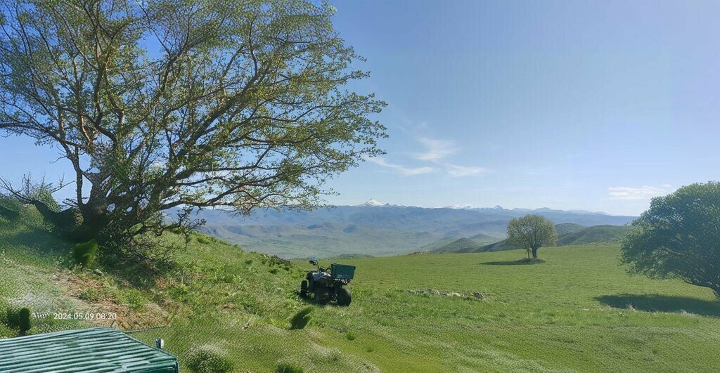 Muhtarlıklar Gürkaynak Mahalle Muhtarlığı, Aşkale, foto