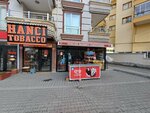 Tercan Market Kuruyemiş (Ankara, Mamak, Kutlu Mah., 459/1 Sok., 2 D), market  Ankara'dan