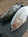 Allmann Group (Ivory Coast, Abidjan, Cocody, Quartier de la Angré), balık ve deniz ürünleri  Abican'dan