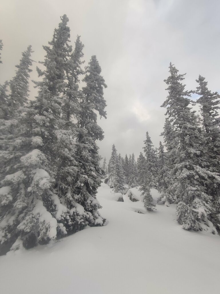 Dağ zirvesi Гора Большой Шаршалыбиик, Başkurdistan, foto
