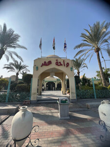 Omar Oasis (Cairo - Alexandria Desert Road), kafe