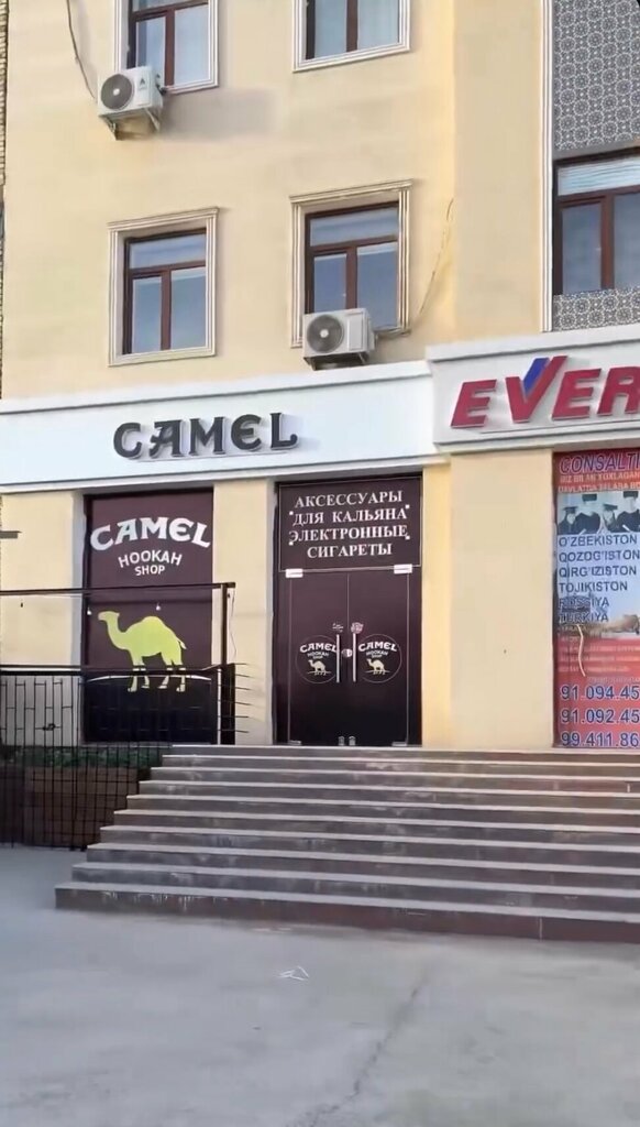 Nargile kafeler Camel Hookah, Ürgenç, foto