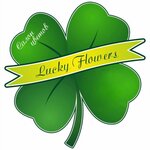 Lucky Flowers (Solnechnaya ulitsa No:17), çiçekçiler  Odintsovo'dan