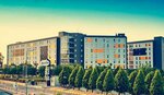 Egekamp (İzmir, Bornova, Kazımdirik Mah., 372. Sok., 12/2B), yaz kampı  İzmir'den