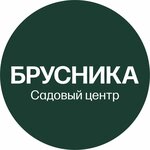 Брусника (Pravoberezhniy Tract No:32В, Barnaul), sera ve bahçe ürünleri  Barnaul'dan