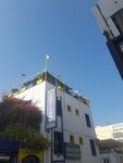 Anfora Pension (Muğla, Bodrum, Umurca Mah., Dere Sok., 16), pansiyonlar, hosteller  Bodrum'dan