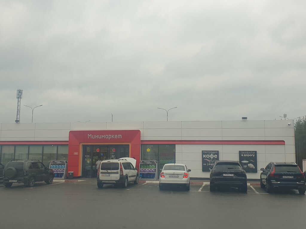 Yol kenarı dinlenme alanı Придорожная зона отдыха, Tverskaya oblastı, foto