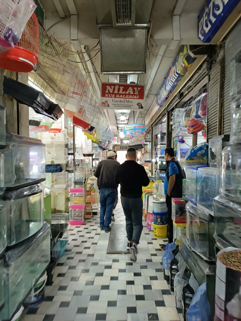 Petshop Nilay Kuş Galerisi, Ankara, foto