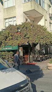 Kulu Büryan (İstanbul, Bağcılar, Namık Kemal Cad., 104A), kafe  İstanbul'dan