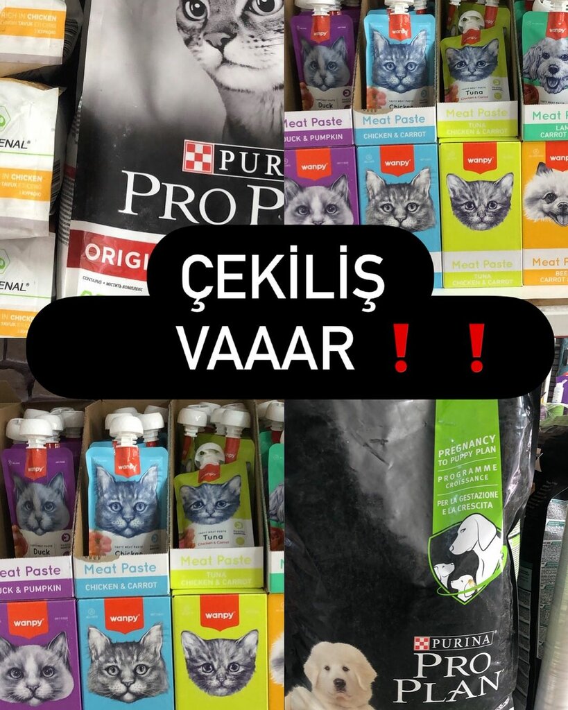 Petshop Petonya, Gemlik, foto