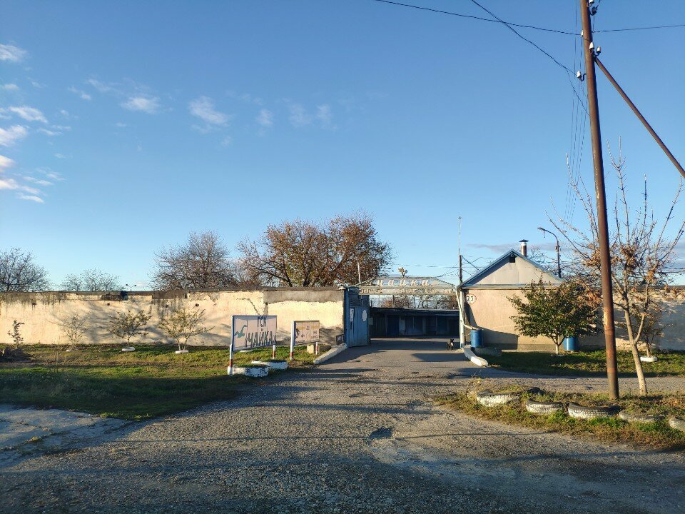 Garajlar ГК Чайка, Mineralniye Vodi, foto