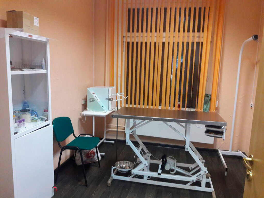 Veteriner klinikleri Almovet, Moskova, foto
