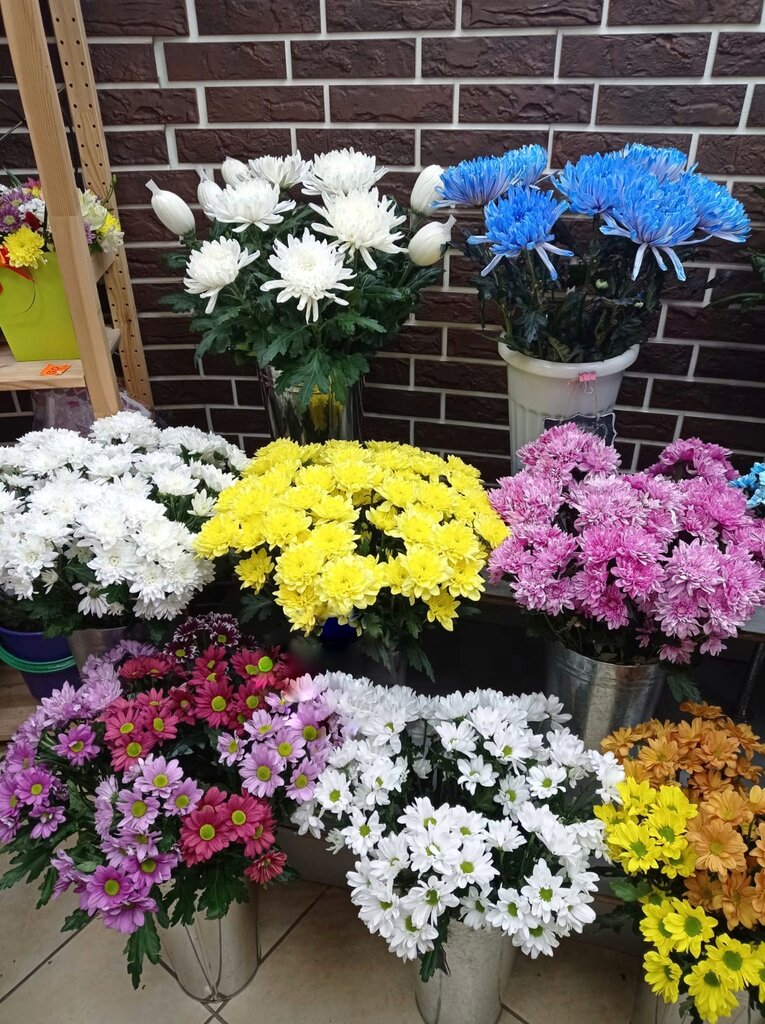 Çiçekçiler Мир цветов, Roslavl, foto