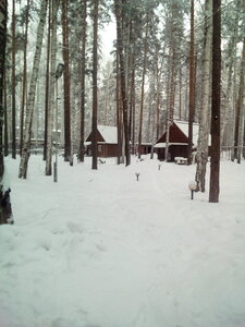 Шишки (Sverdlovsk Region, gorodskoy okrug Verkhnyaya Pyshma), restoran  Sverdlovskaya oblastından