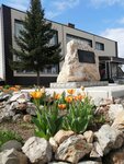 МБУК Многофункциональный культурный центр Новичихинского района (Leninskaya ulitsa No:6А, selo Novichikha), kültür merkezleri  Altayski krayından