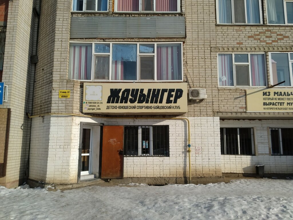 Spor kulüpleri Zhauynger, Aktöbe, foto