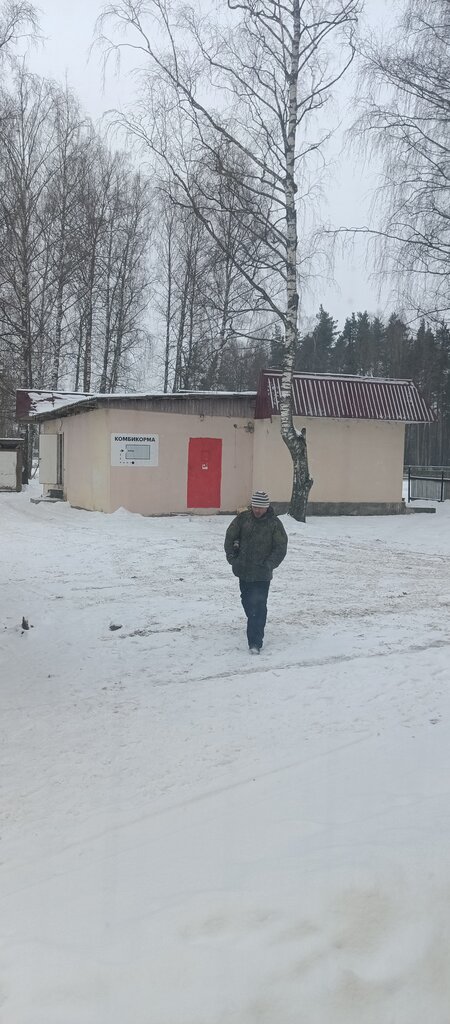 Market Минимаркет, Kingisepp, foto