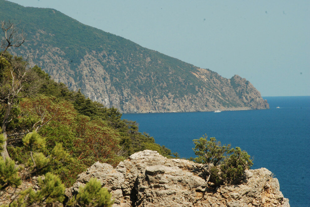 Doğa koruma alanı Zapovednik Mys Martyan, Kırım Cumhuriyeti, foto
