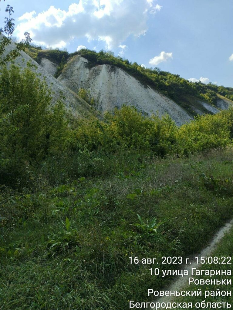 Doğa koruma alanı участок Лысая Гора, природный парк Ровеньский, Belgorodskaya oblastı, foto