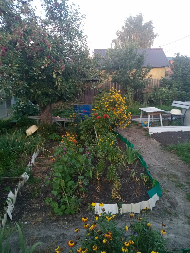 Bahçecilik dernekleri ve kuruluşları СНТ Дорожник, Tiumen, foto