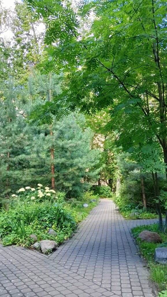 Turistik yerler сад Аркадия, Saint‑Petersburg, foto