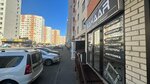 Sakaar (Tukhachevskogo Street No:26/9), bilgisayar teknik servisleri  Stavropol'dan