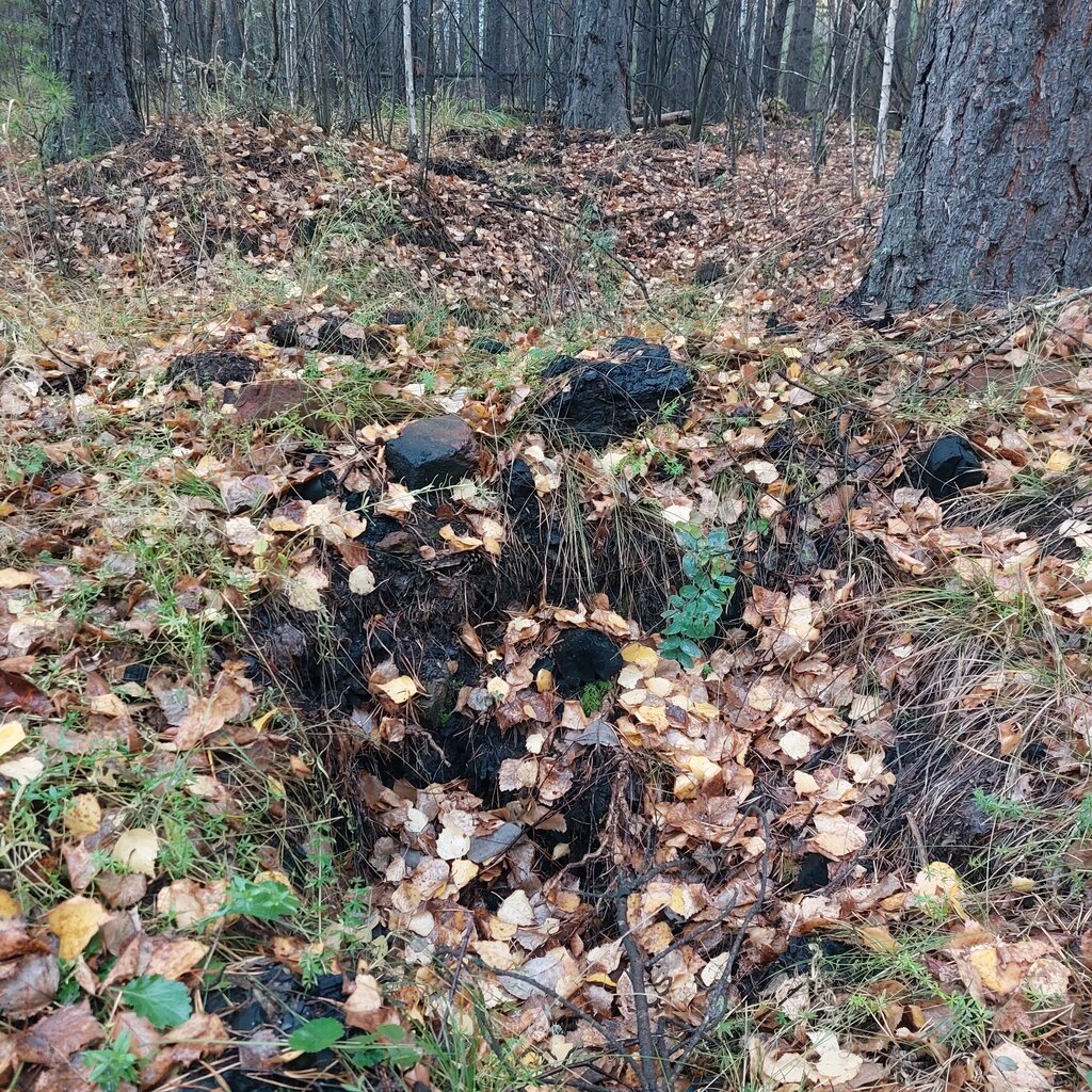 Turistik yerler Угольные печи, Sverdlovskaya oblastı, foto