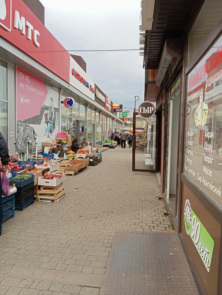Rehincilik Liga, Maykop, foto