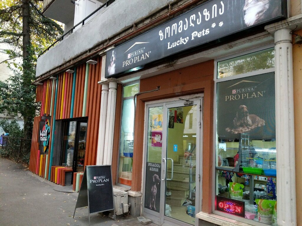 Petshop ზოომაღაზია, Tiflis, foto