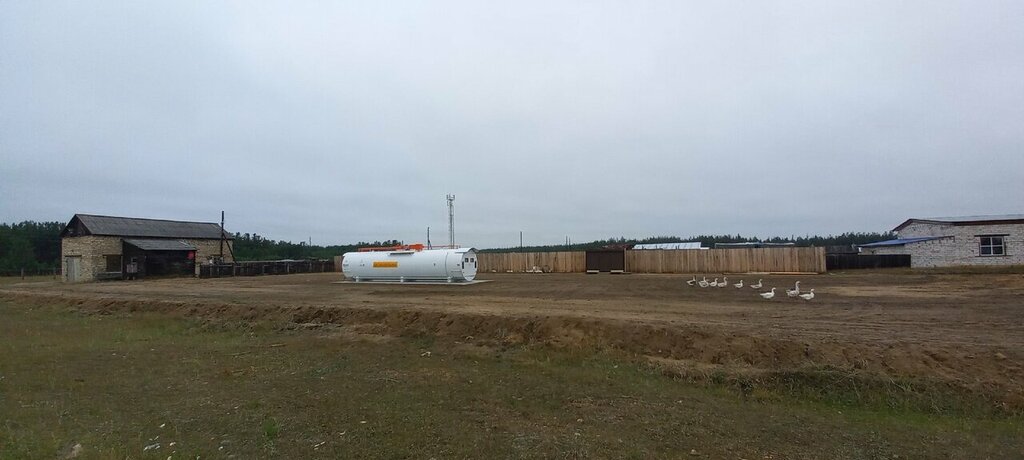 Benzin istasyonu АЗС, Permski krayı, foto