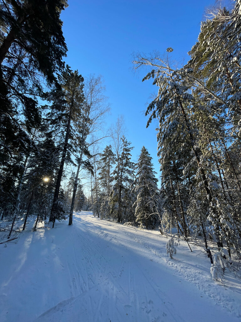 Kayak merkezleri Лыжная база, Kurganskaya oblastı, foto