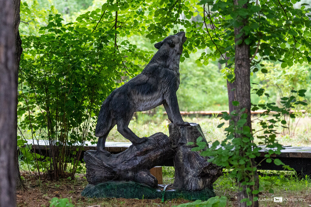 Turistik yerler Arboretum Berendey, Krasnoyarski krayı, foto