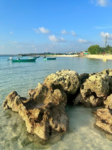 Otel Real Ocean Keyodhoo Maldives, Vaavu Atolü, foto