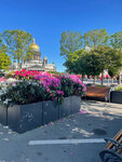 Апартаменты Коломбо у Исаакиевского собора (Voznesenskiy Avenue No:3-5), kısa süreli konaklama  Saint‑Petersburg'dan