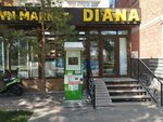 Diana (No:44, 5-shi shaǵyn aýdan), market  Kapşağay'dan (Kapçagay'dan)