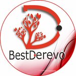 BestDerevo (Moscow, Novomoskovskiy Administrative Okrug, Kommunarka District, ulitsa Admirala Kornilova, 10с1), kereste üretim ve satış şirketleri  Moskova'dan