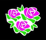 Kameliya (ulitsa Stakhanovtsev No:108), çiçek teslimatı  Çeliabinsk'ten