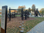 Playground (Moscow Region, Zaraysk, Tsentralniy Park), oyun alanı  Zaraysk'tan