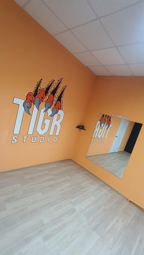 Dans okulları Tigr Studio, Kurgan, foto