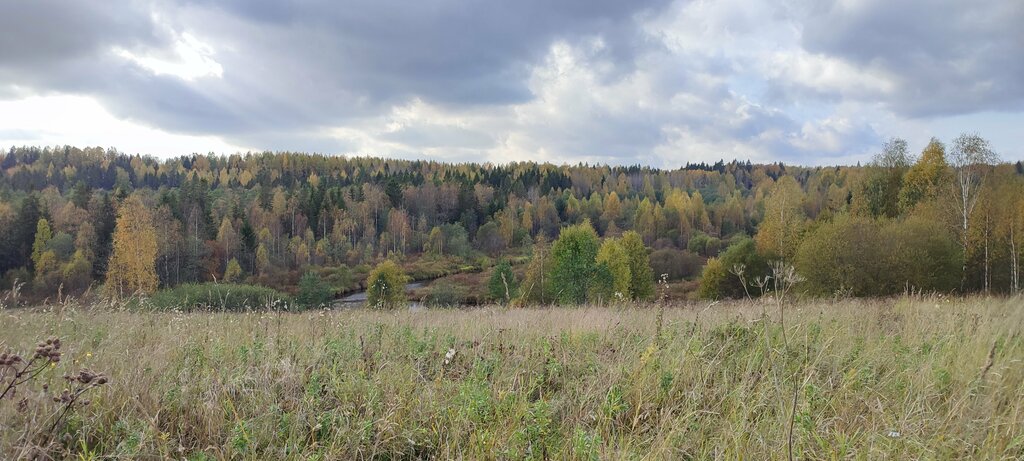 Seyir terası Смотровая площадка, Vologodskaya oblastı, foto