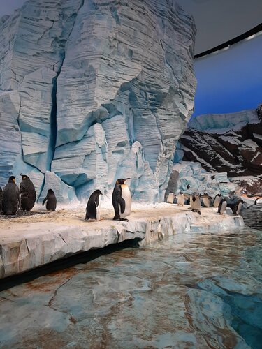 Photo: SeaWorld, oceanarium, YS6, Yas Island, Abu Dhabi, United Arab ...