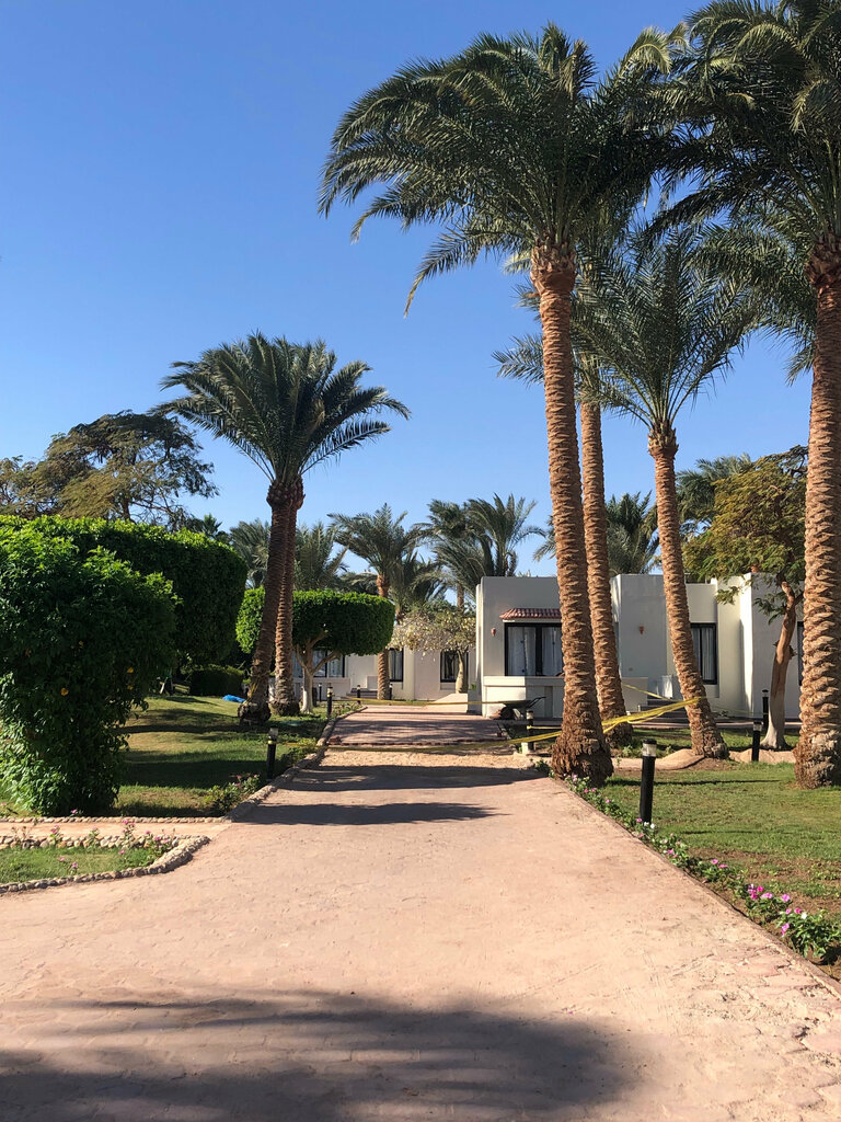 Restoran Отель Sonesta Faraon Beach, Hurgada, foto