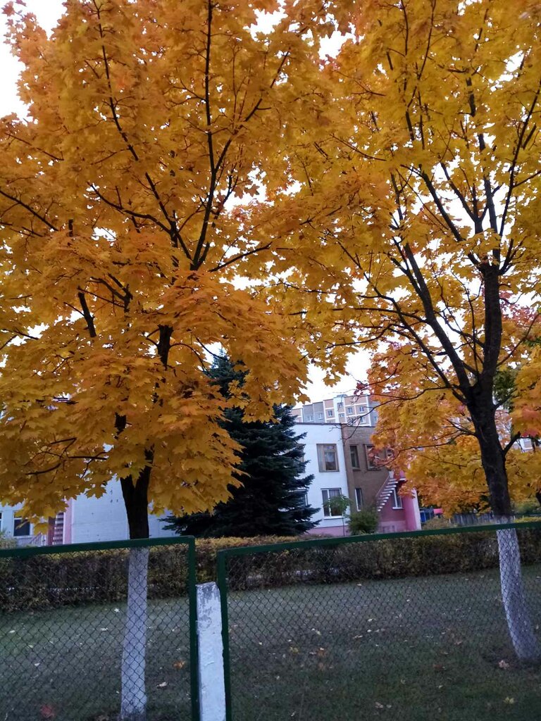 Anaokulları Yasli-Sad № 512, Minsk, foto